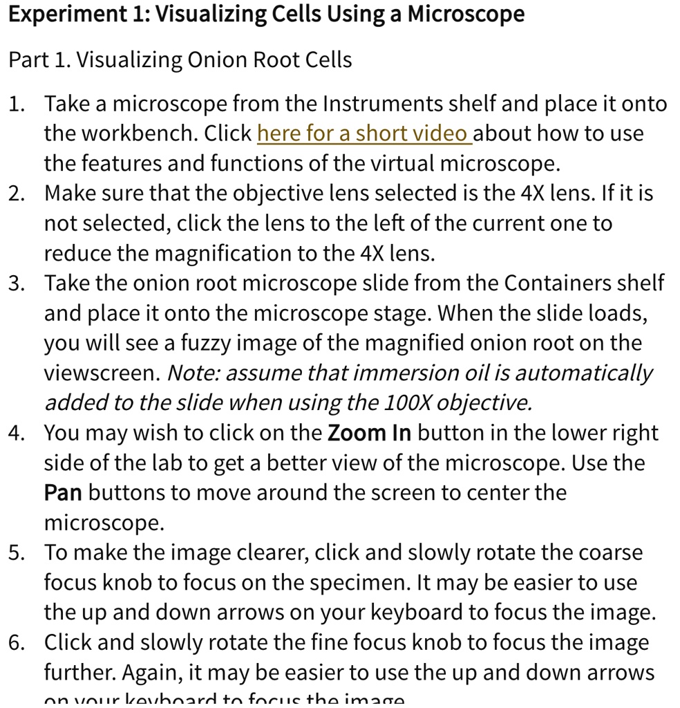 experiment 1 visualizing cells using a microscope part 1 visualizing onion root cells 1 take a ...
