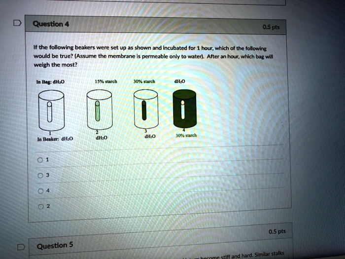 SOLVED: If the following beakers were set up as shown and incubated for ...