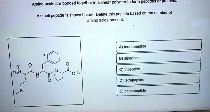 SOLVED: Amino acids are bonded together in a linear polymer to form ...