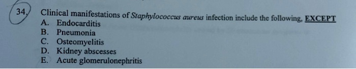 34 Clinical manifestations of Staphylococcus aureus infection include ...