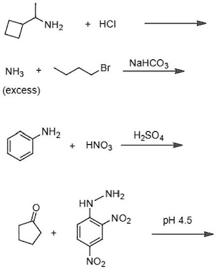 SOLVED: NHz HCI Br NaHCO3 NH3 (excess) NH2 HzSO4 HNO: NH2 HN- NOz PH 4. ...