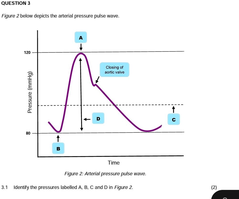 QUESTION 3 Figure 2 below depicts the arterial pressure pulse wave. 120 ...
