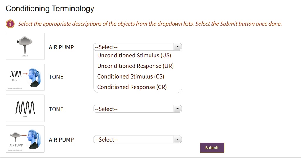 SOLVED: Texts: Conditioning Terminology Select the appropriate descriptions of the objects from ...