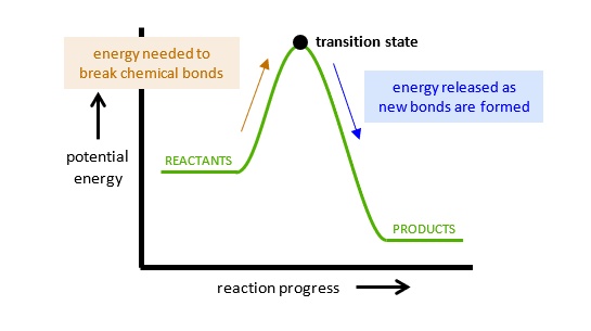 SOLVED:transition state energy neededto break chemical bonds energy ...