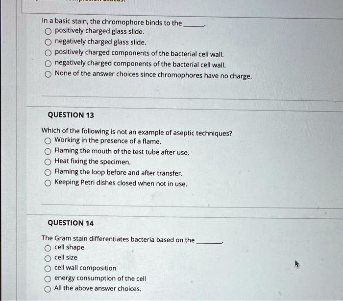 in a basic stain the chromophore binds to the positively charged glass ...