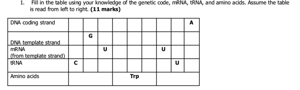 1. Fill in the table using your knowledge of the genetic code, mRNA, tRNA, and amino acids ...