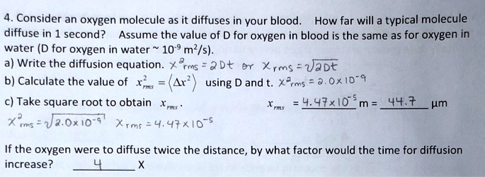 consider an oxygen molecule as it diffuses in your blood how far will a typical molecule diffuse ...