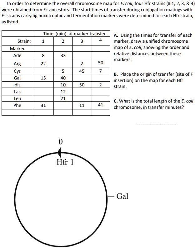 SOLVED: 'In order t0 determine the overall chromosome map for E: coli ...
