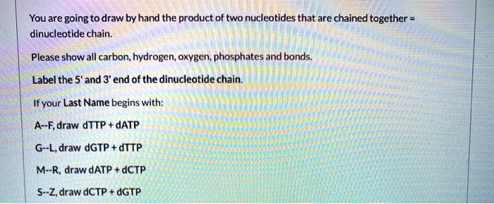 SOLVED: You are going to draw by hand the product of two nucleotides ...
