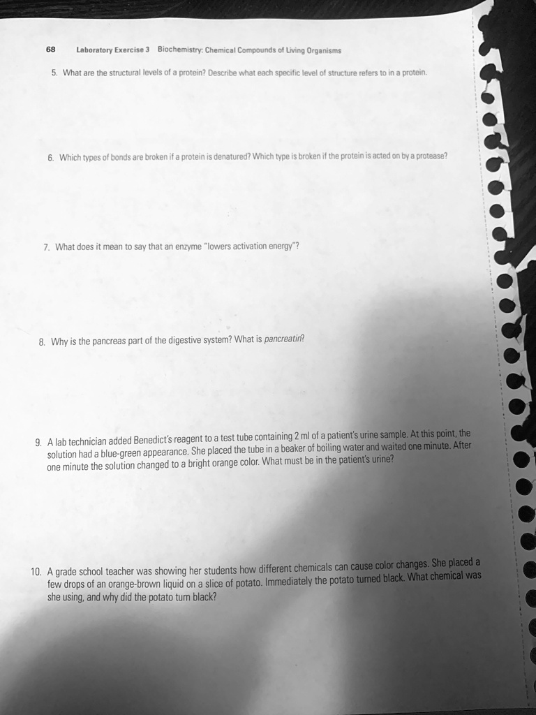 SOLVED: What are the structural levels of a protein? Describe what each ...