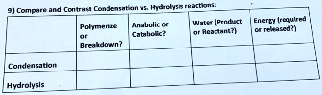 9 compare and contrast condensation vs hydrolysis reactions water ...
