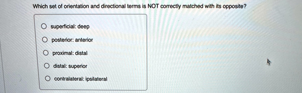 which set of orientation and directional terms is not correctly matched ...