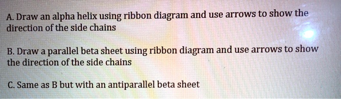 a draw an alpha helix using ribbon diagram and use arrows to show the ...