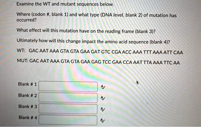 examine the wt and mutant sequences below where codon blank 1 and what ...