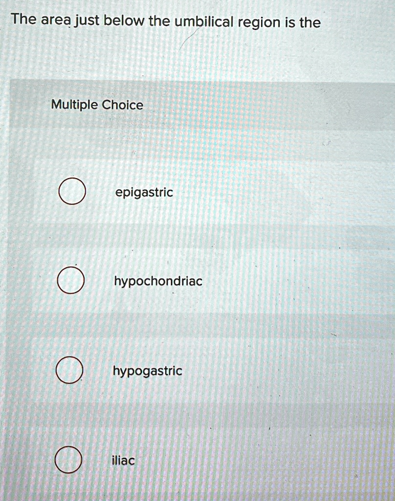 The area just below the umbilical region is the Multiple Choice ...