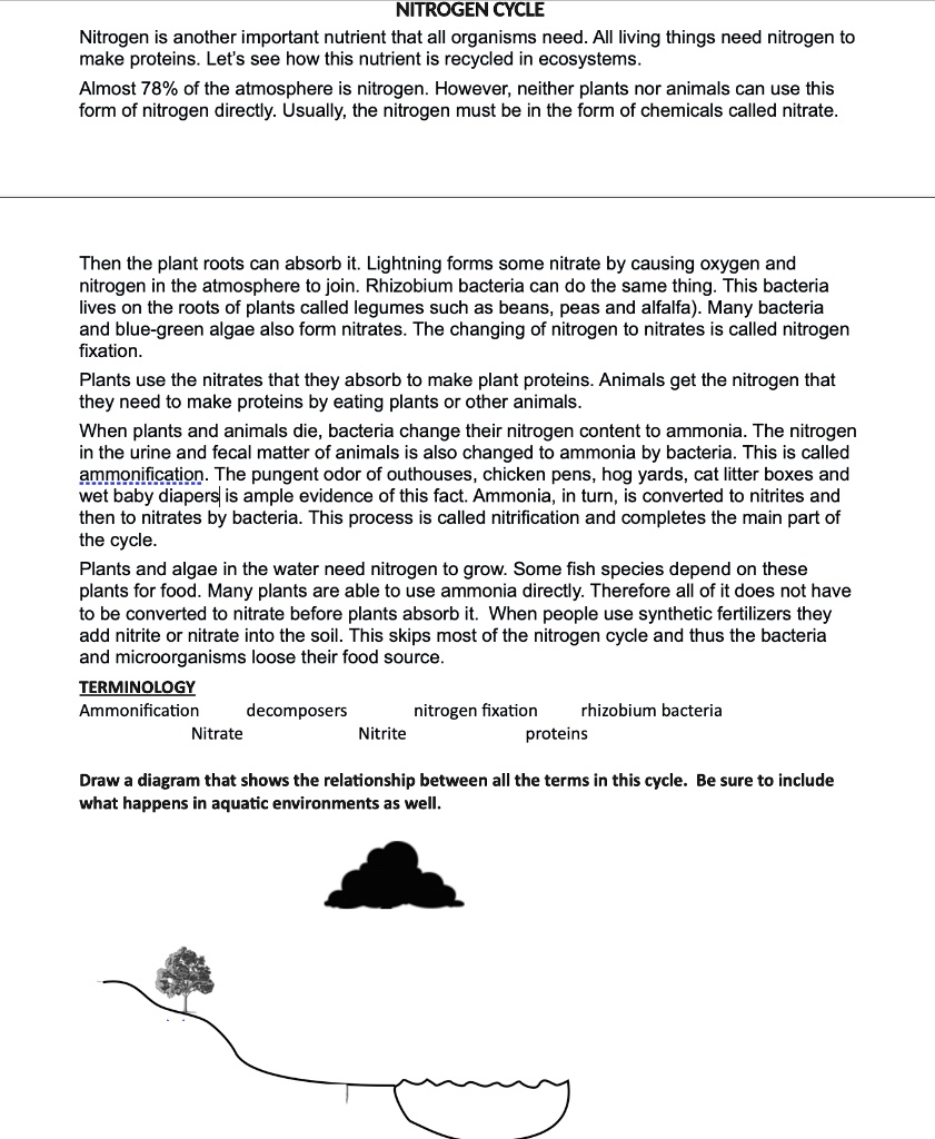 nitrogen cycle nitrogen is another important nutrient that all ...