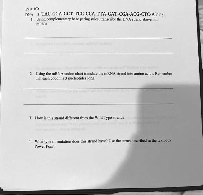 part ic dna tac gga gct tcg cca tta gat cga acg ctc att 5 using ...
