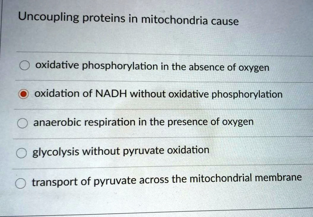 Uncoupling proteins in mitochondria cause oxidative phosphorylation in ...