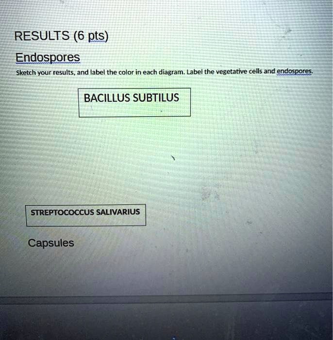 SOLVED: RESULTS (6 pts) Endospores Sketch your results, and label the ...