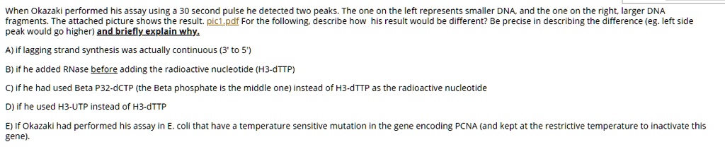 SOLVED: When Okazaki performed his assay using 30 second pulse he ...