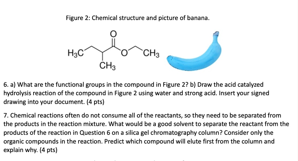 SOLVED: Figure 2: Chemical structure and picture of a banana H3 6. a ...