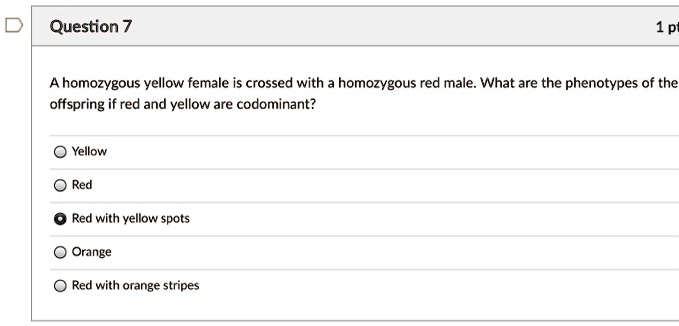 SOLVED: Question 7 Ahomozygous yellow female is crossed with homozygous ...