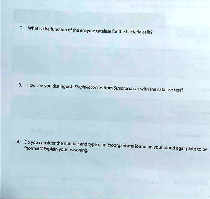 SOLVED: 2. What is the function of the enzyme catalase for bacterial ...