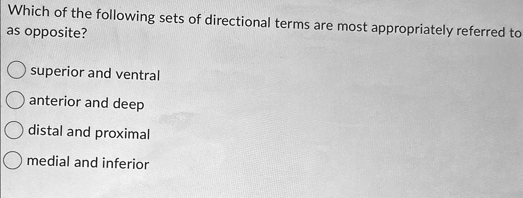 SOLVED: Which of the following sets of directional terms are most ...