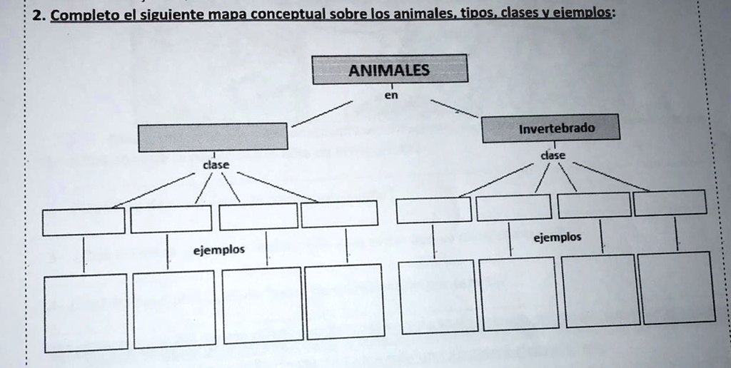SOLVED: 2. Completo el siguiente mapa conceptual sobre los animales, tipos, clases y ejemplos ...