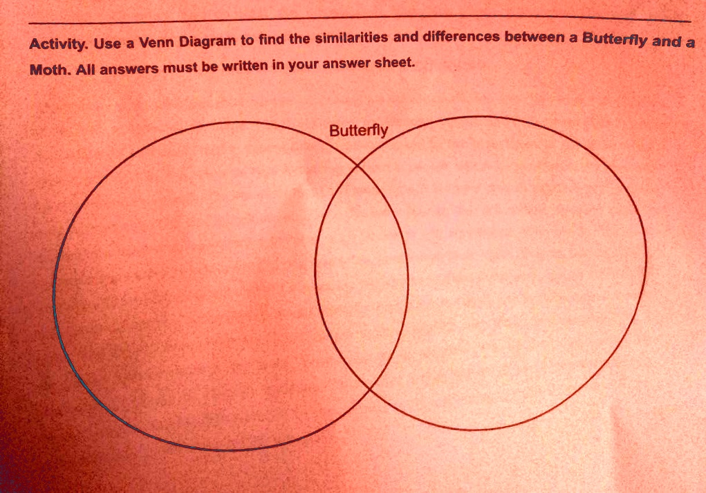activity use a venn diagram to find the similarities and differences ...