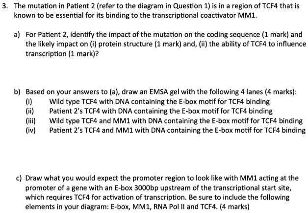 3. The mutation in Patient 2 (refer to the diagram in Question 1) is in ...