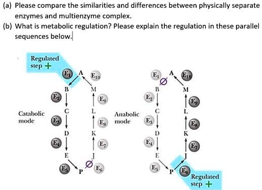 SOLVED: (a) Please compare the similarities and differences between ...