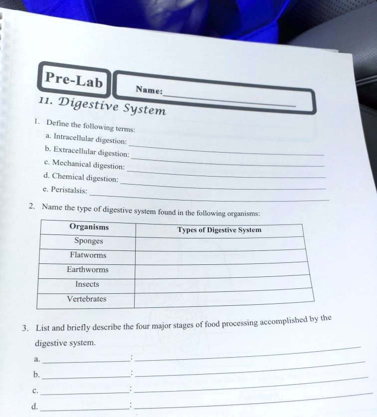 Pre-Lab Name: 11. Digestive System 1. Define the following terms: a ...
