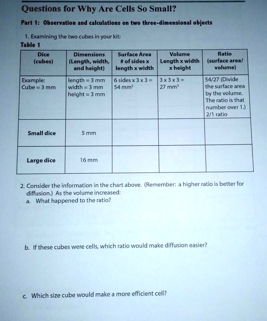 Questions for Why Are Cells So Small? Part 1: Observation and ...