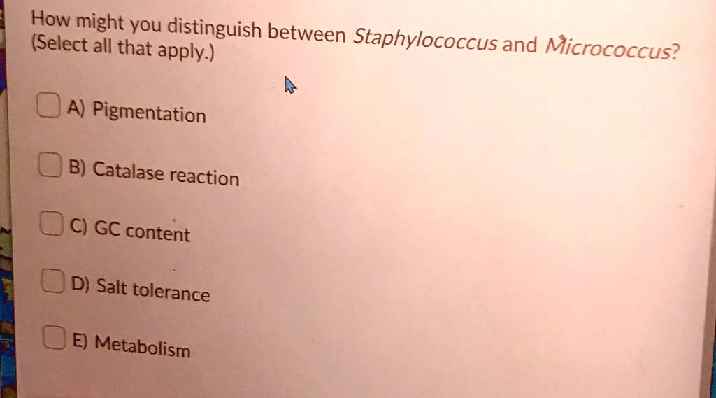 How might you distinguish between Staphylococcus and Micrococcus ...