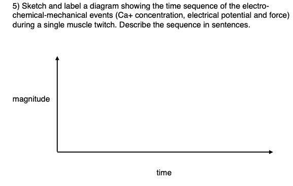 SOLVED: 5) Sketch and label a diagram showing the time sequence of the electro- chemical ...