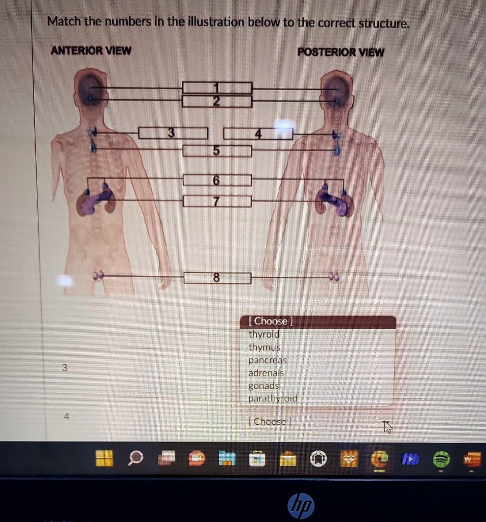 SOLVED: match the numbers to the structure Match the numbers in the illustration below to the ...