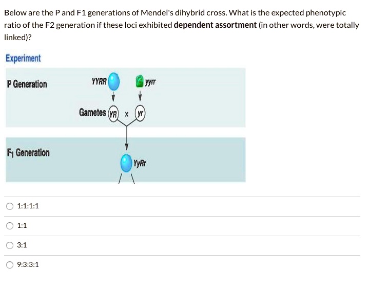 SOLVED: Below are the P and F1 generations of Mendel's dihybrid cross. What is the expected ...