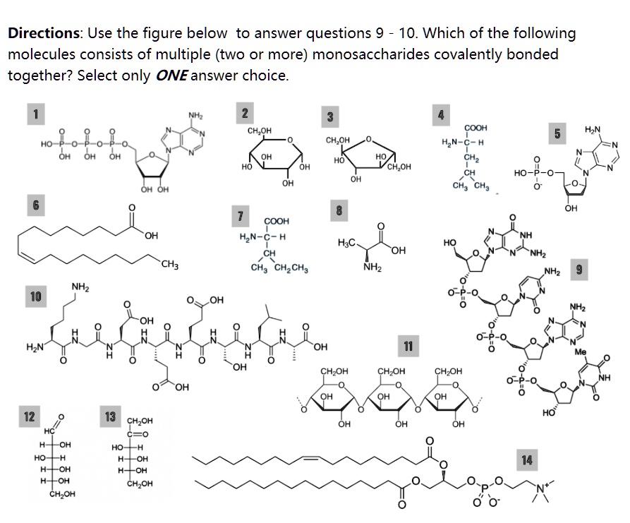 directions use the figure below to answer questions 9 10 which of the ...