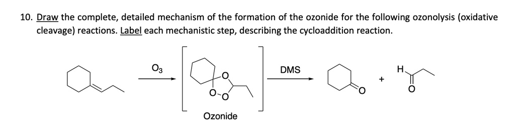 1. Draw the complete, detailed mechanism of the formation of the ...
