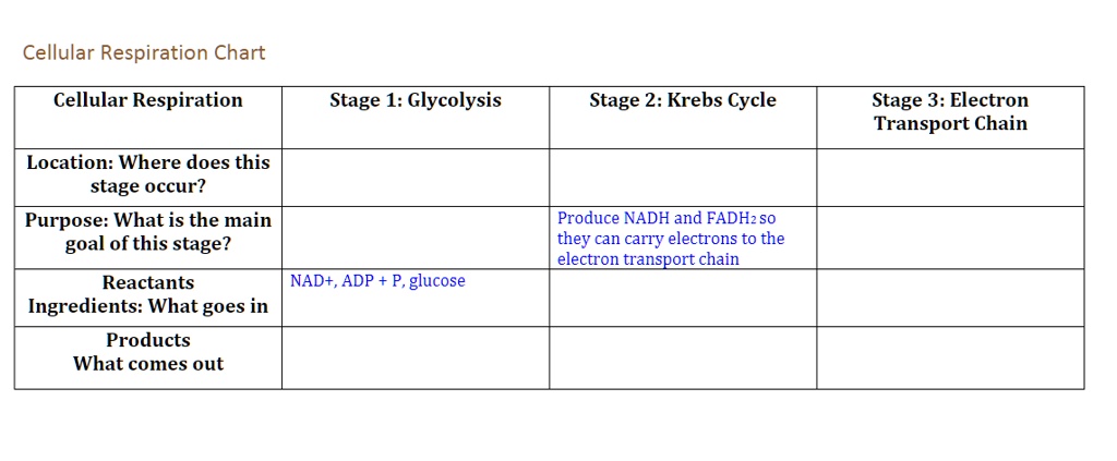 Cellular Respiration Chart Cellular Respiration Location: Where does ...