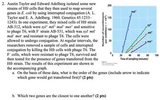 2. Austin Taylor and Edward Adelberg isolated some new strains of Hfr ...