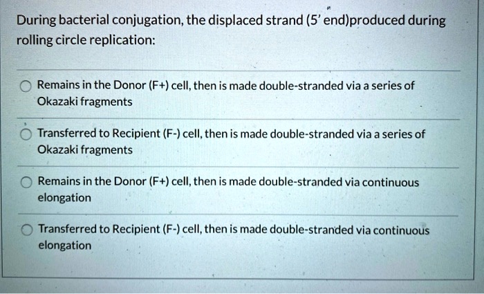 during bacterial conjugation the displaced strand 5 endproduced during ...