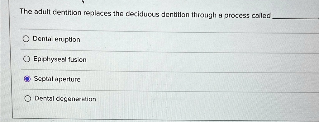 The adult dentition replaces the deciduous dentition through a process ...