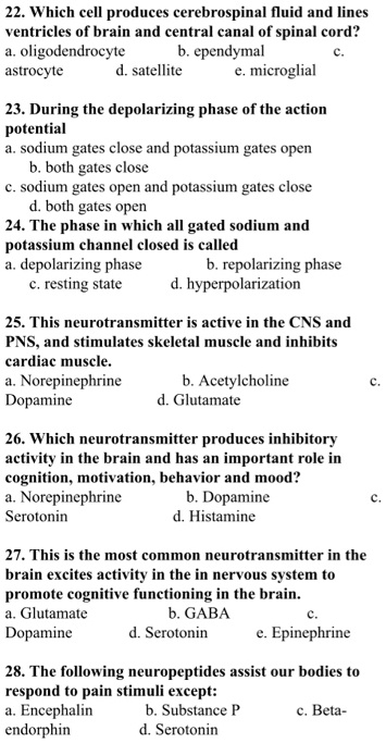 22which cell produces cerebrospinal fluid and lines ventricles of brain ...