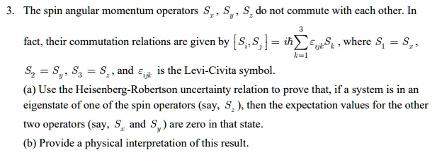 Solved The Spin Angular Momentum Operators S1 S2 S3 Do Not Commute With Each Other In Fact