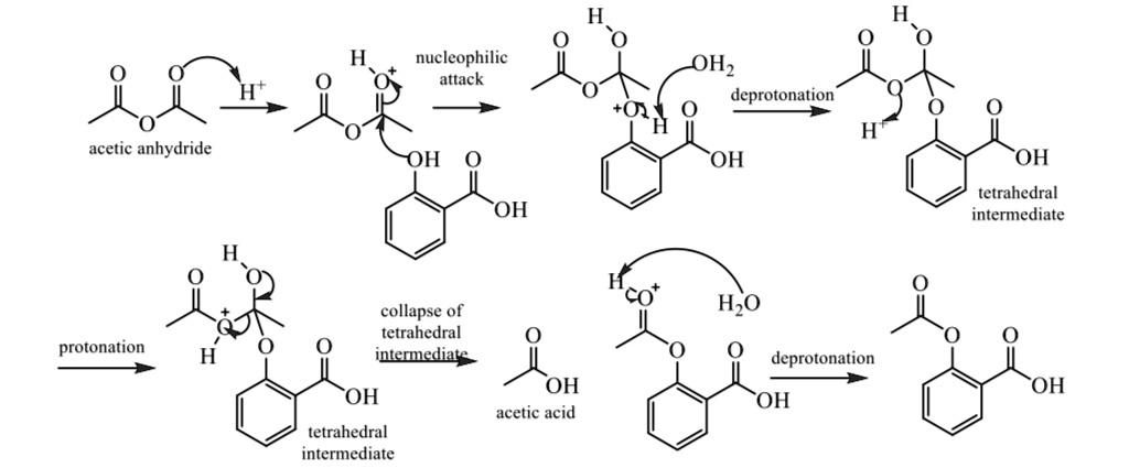 Nucleophilic attack OH deprotonation acetic anhydride OH OH OH ...