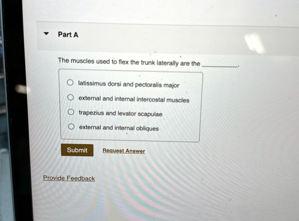 part a the muscles used to flex the trunk laterally are the olatissimus ...