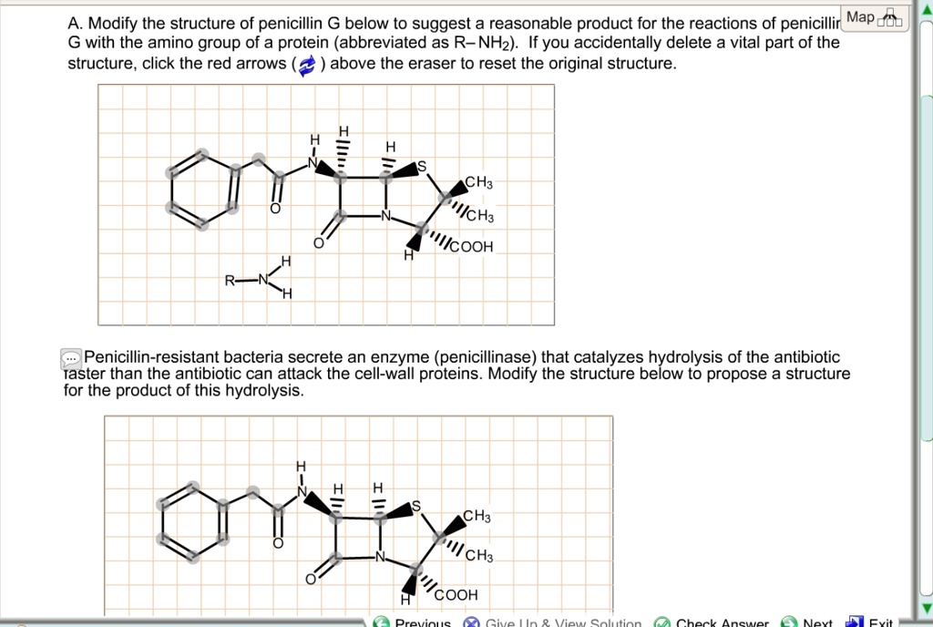 SOLVED: A. Modify the structure of penicillin G below to suggest a ...