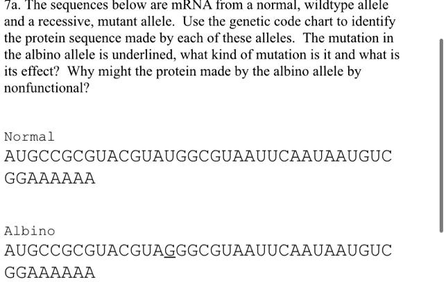 7a. The sequences below are mRNA from a normal, wildtype allele and a ...